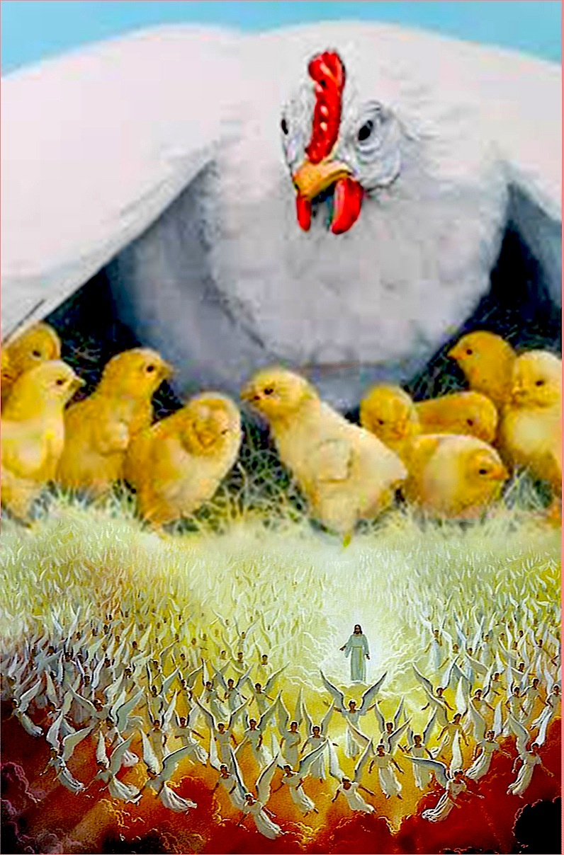 Chapelle de Poulet [13] — Hotel