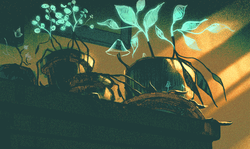 Ghost Plants — Amita Sevellaraja Illustration