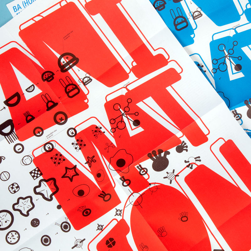 Animation Brochure — Vera Reshto Design