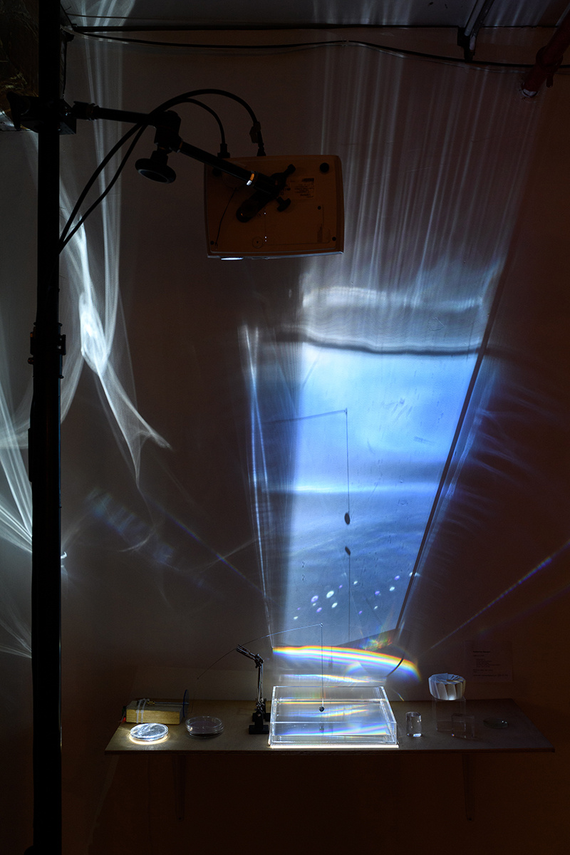 Light as a Gift — Katherine Diemert's Portfolio