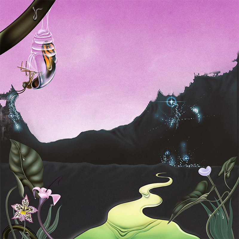 Chrysalis — iangrandjean.net