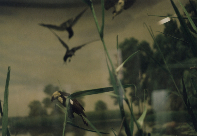 The very definition of the real becomes: that of which it is possible ...