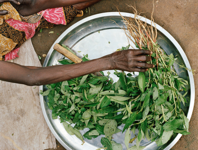 Food, Folklore and Land // Giles Duley — Institute Artist