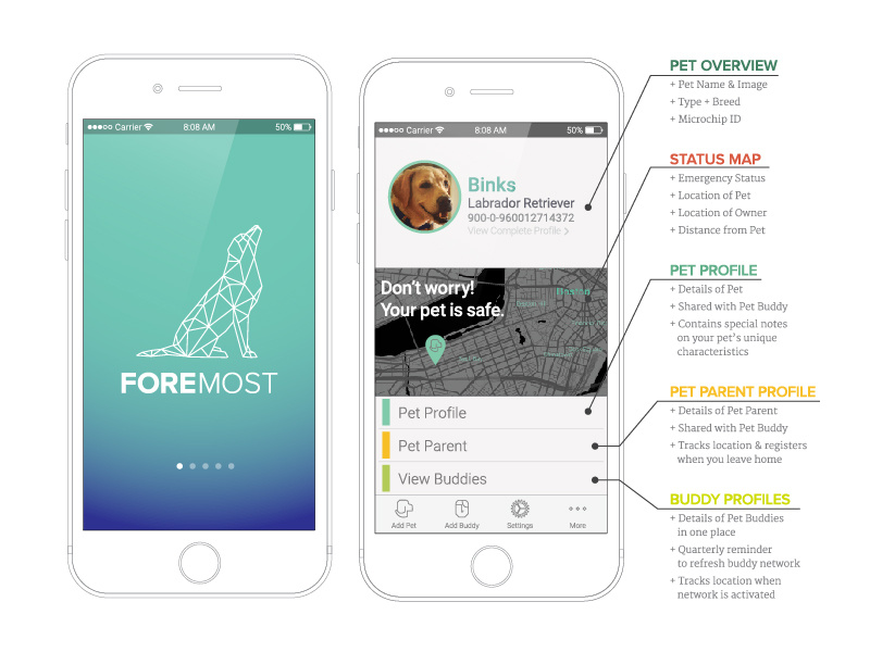 foremost — Mahima Pushkarna