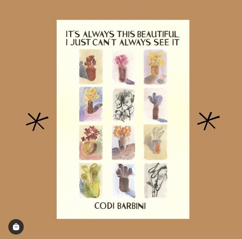 It's Always This Beautiful, I Just Can't Always See It — Codi Barbini