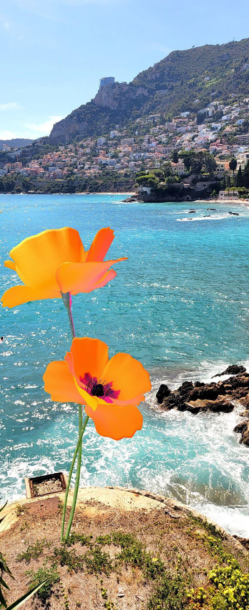 Virtual Herbaria XR²C² - 2023 — Yara Feghali