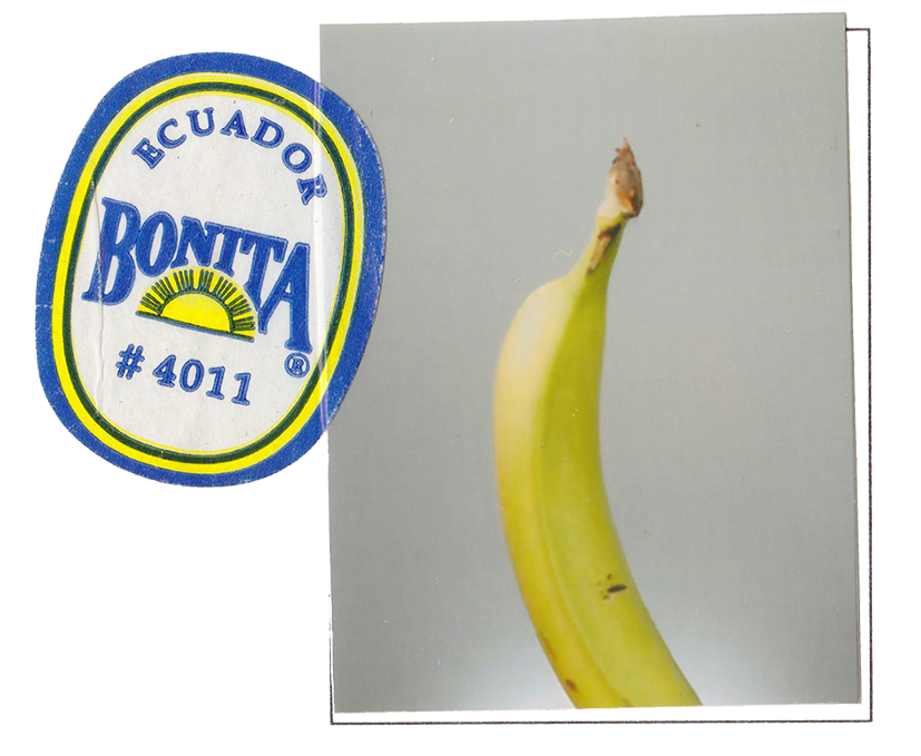 Banana Story — Johanna Seelemann