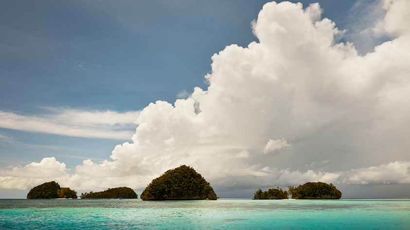 Palau Pledge — Gustavo Vampre Franco - Creative Director and Art Director