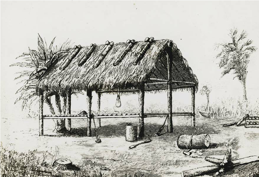 INDIGENOUS STRUCTURES + CULTURAL LANDSCAPES — Symbiotic House