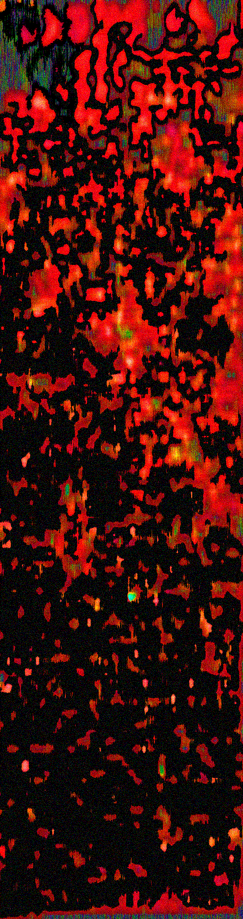 Digital Skins — felicita