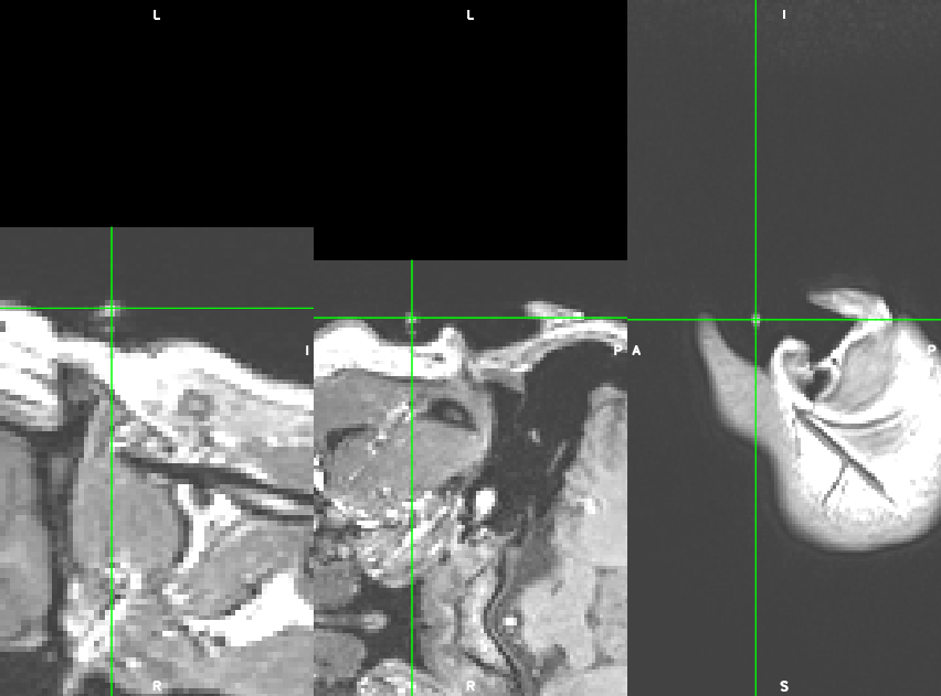 About — Science Art Network
