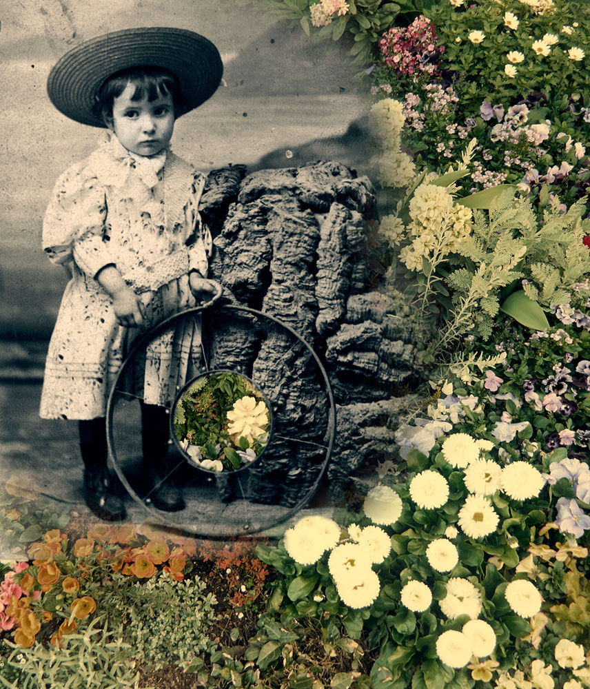 Las dimensiones del jardín — Aníbal Merlo