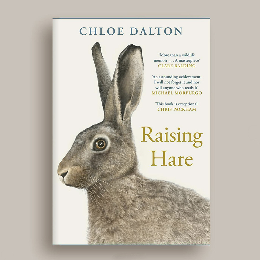 'Raising Hare' Book Cover — Denise Nestor