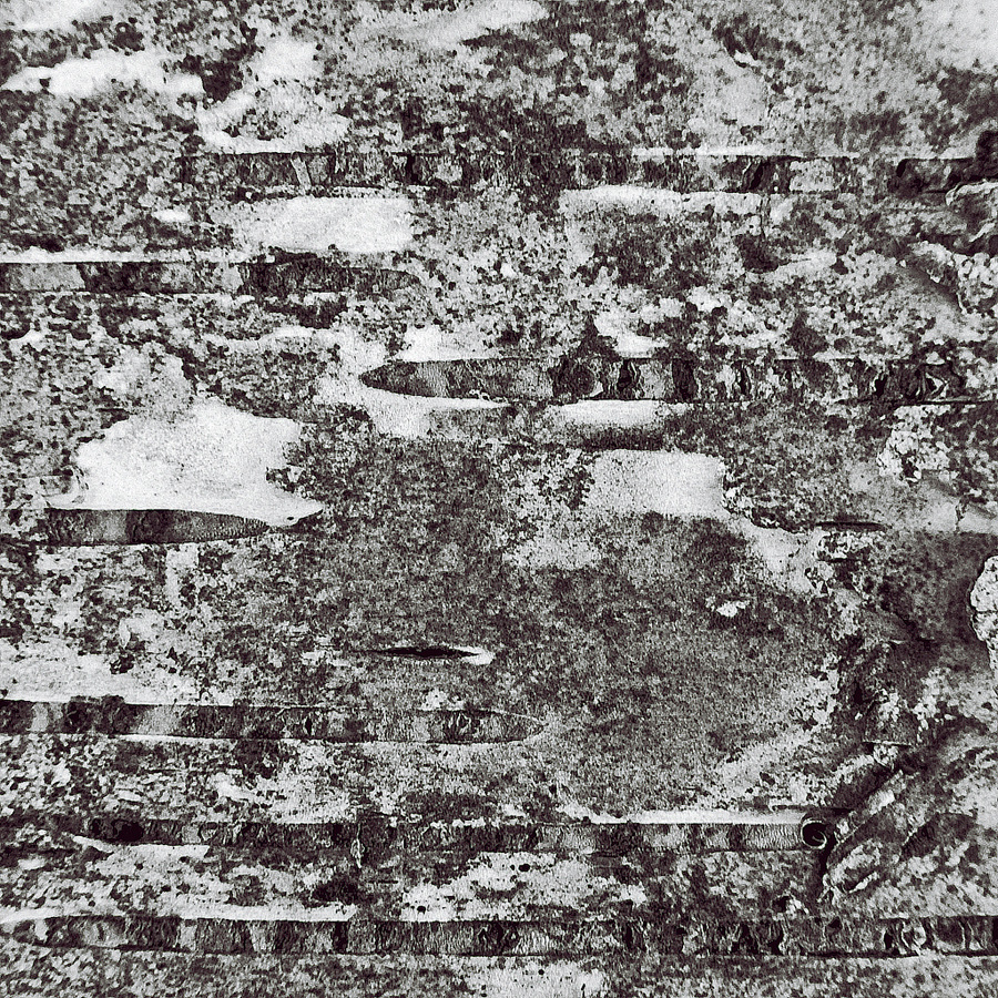 There is nothing worse than a sharp image of a fuzzy concept — but does ...