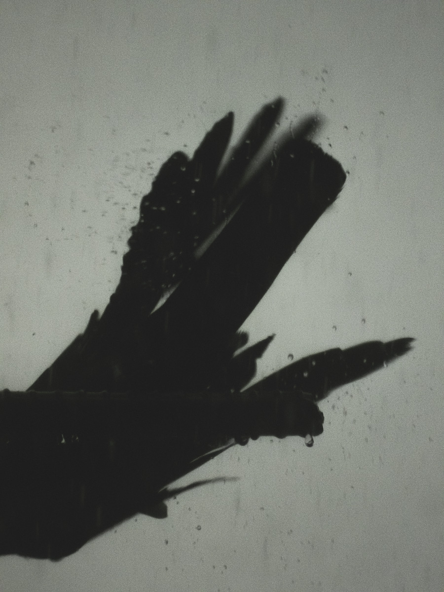 Shadows In The Sky — Sarker Protick