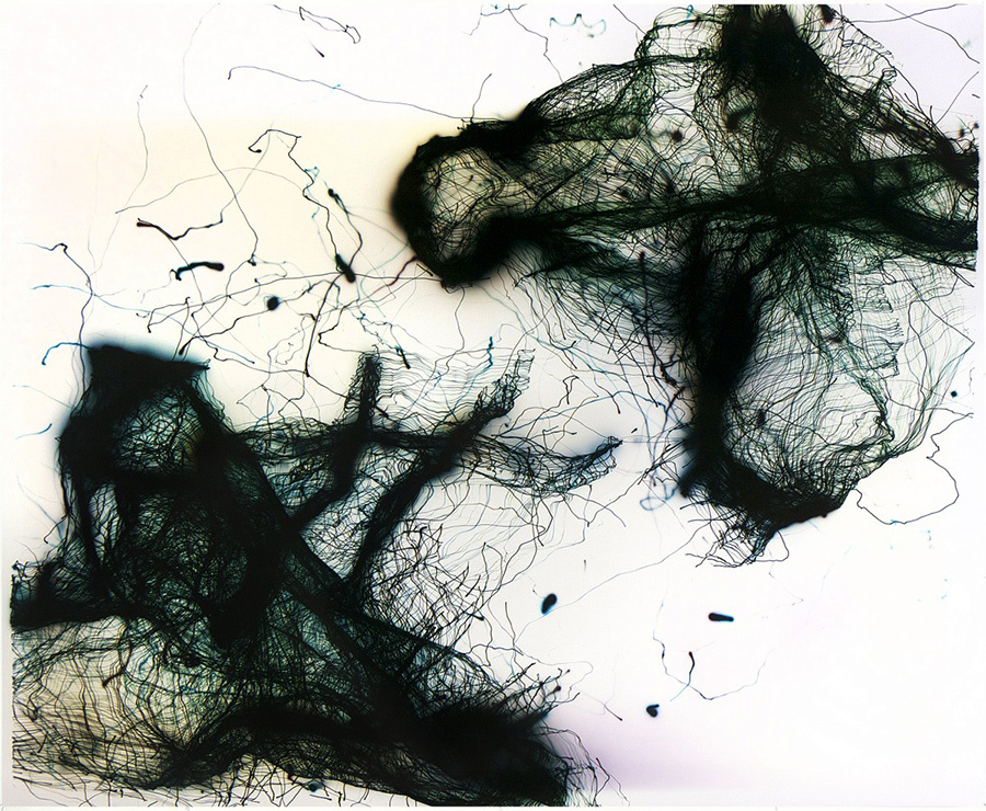 A revelation trembled just beyond the threshold of her understanding ...