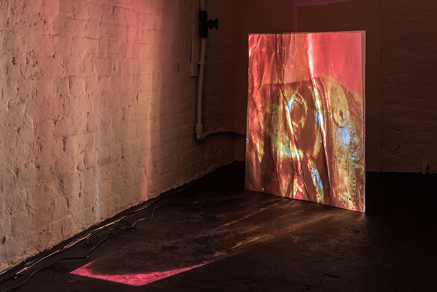 Mold II — Laura Gozlan