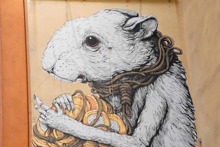 Ericailcane, Modena, Italy — unurth