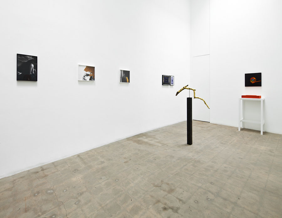 Signs of Life — Lisa Tan