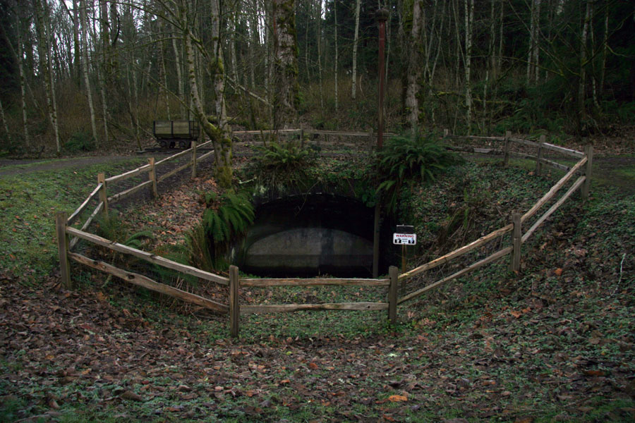 Black Forest - Research — Hans Baumann