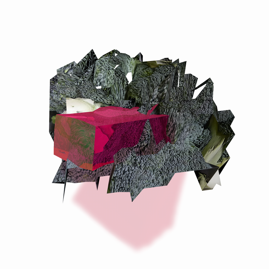 AGAR AGAR. The jelli Magazine — Lisa Baumgarten