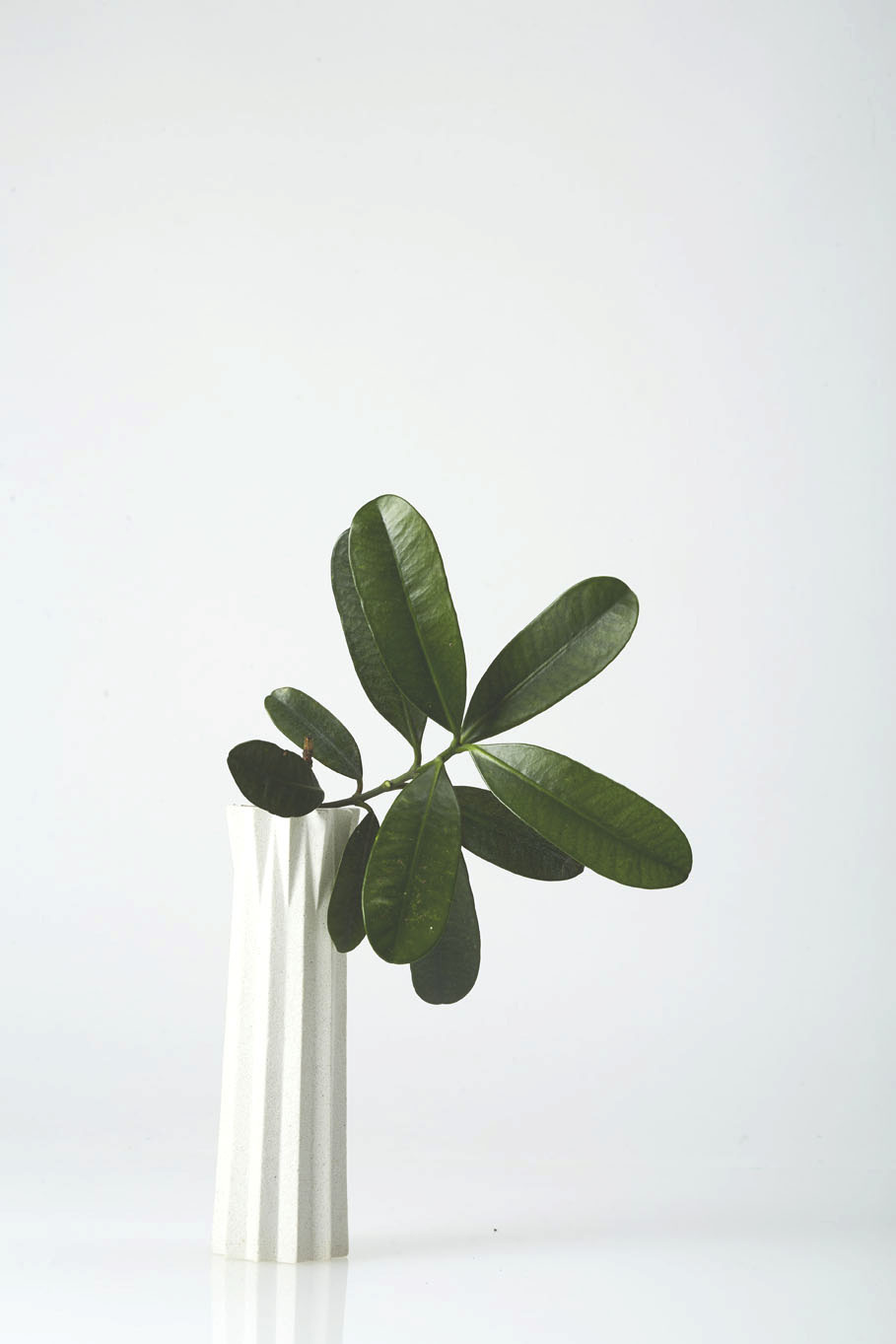 Geometry Stone — aureoledesign