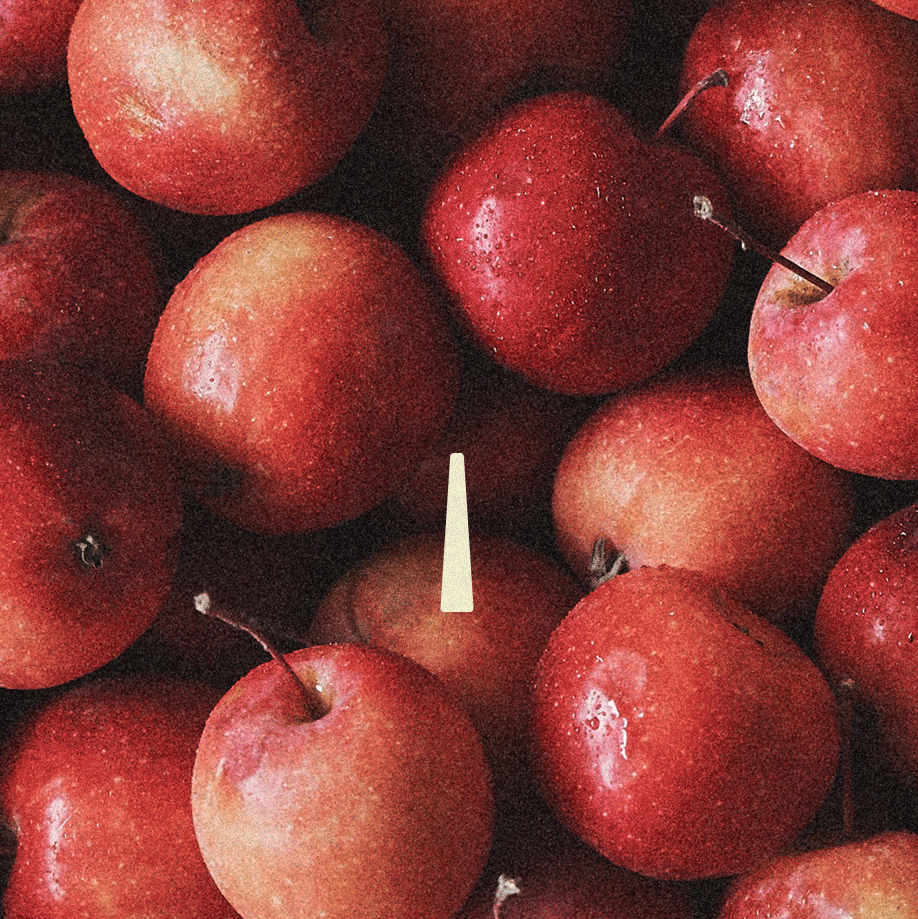 Number Twelve Cider — Buddy-Buddy | A Brand Design Agency in Minneapolis