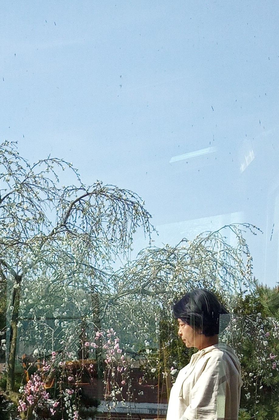 Sun-mee Park — Getbol Lab Archive