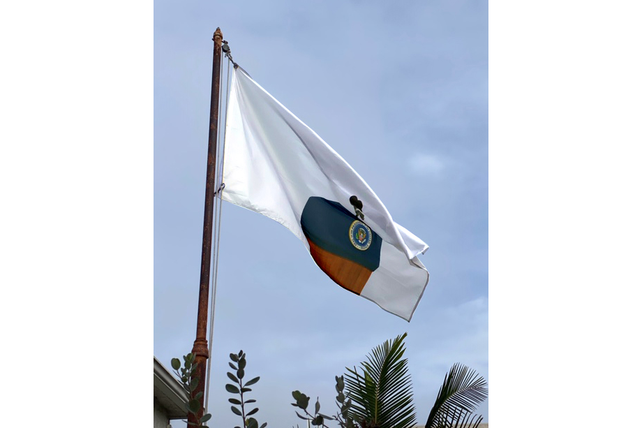 Election Flags — Patrick Killoran