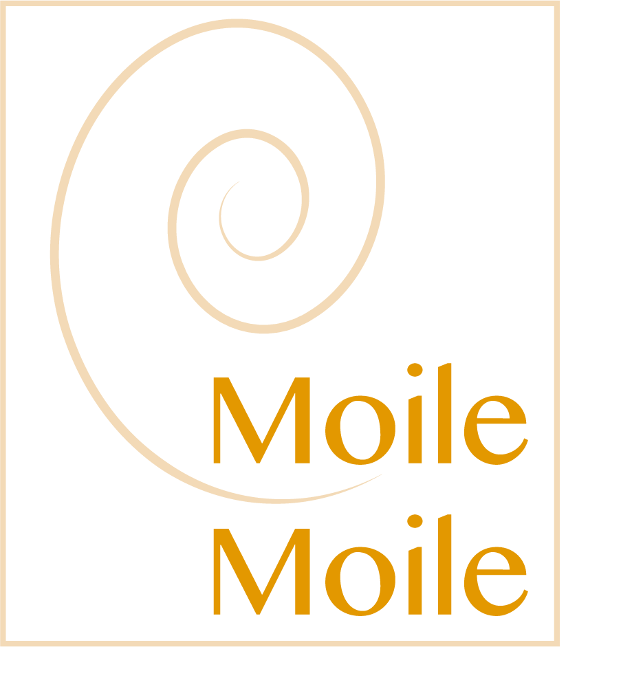 Presentatietrainers — Moile Moile