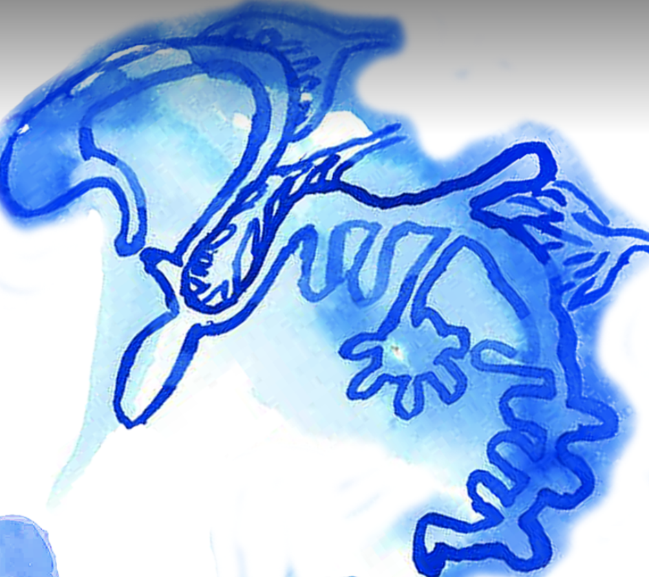 Photos — fluidspaces.org