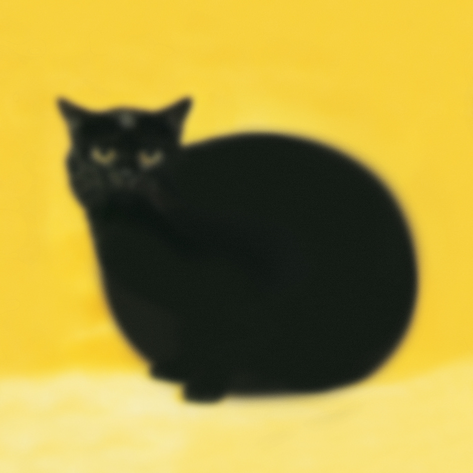 Projects — Gracias Gracia