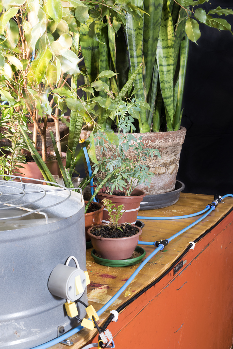 DRAWING MACHINE — AVENTURA