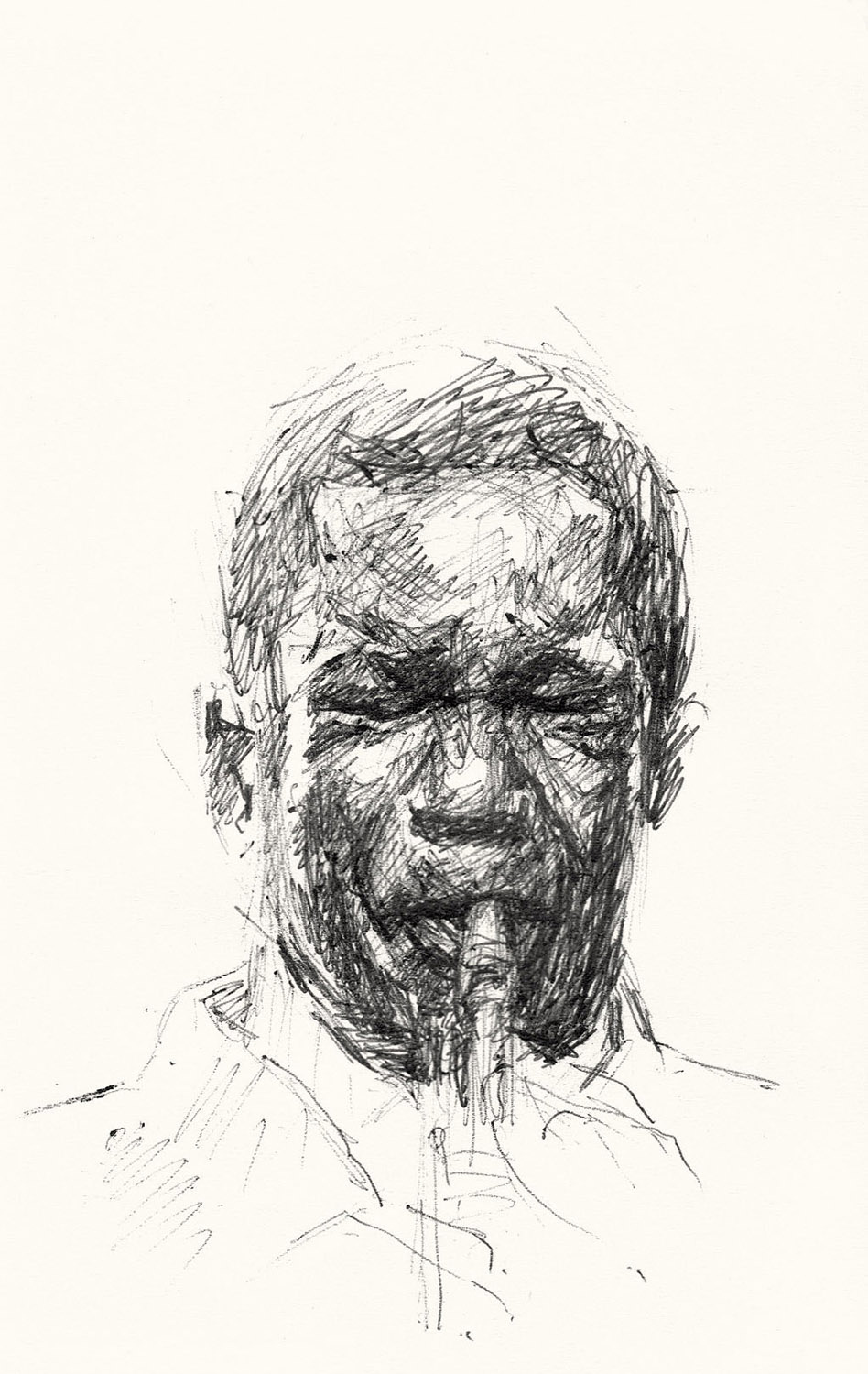 _ BALL POINT PEN DRAWINGS — Tim De Vocht