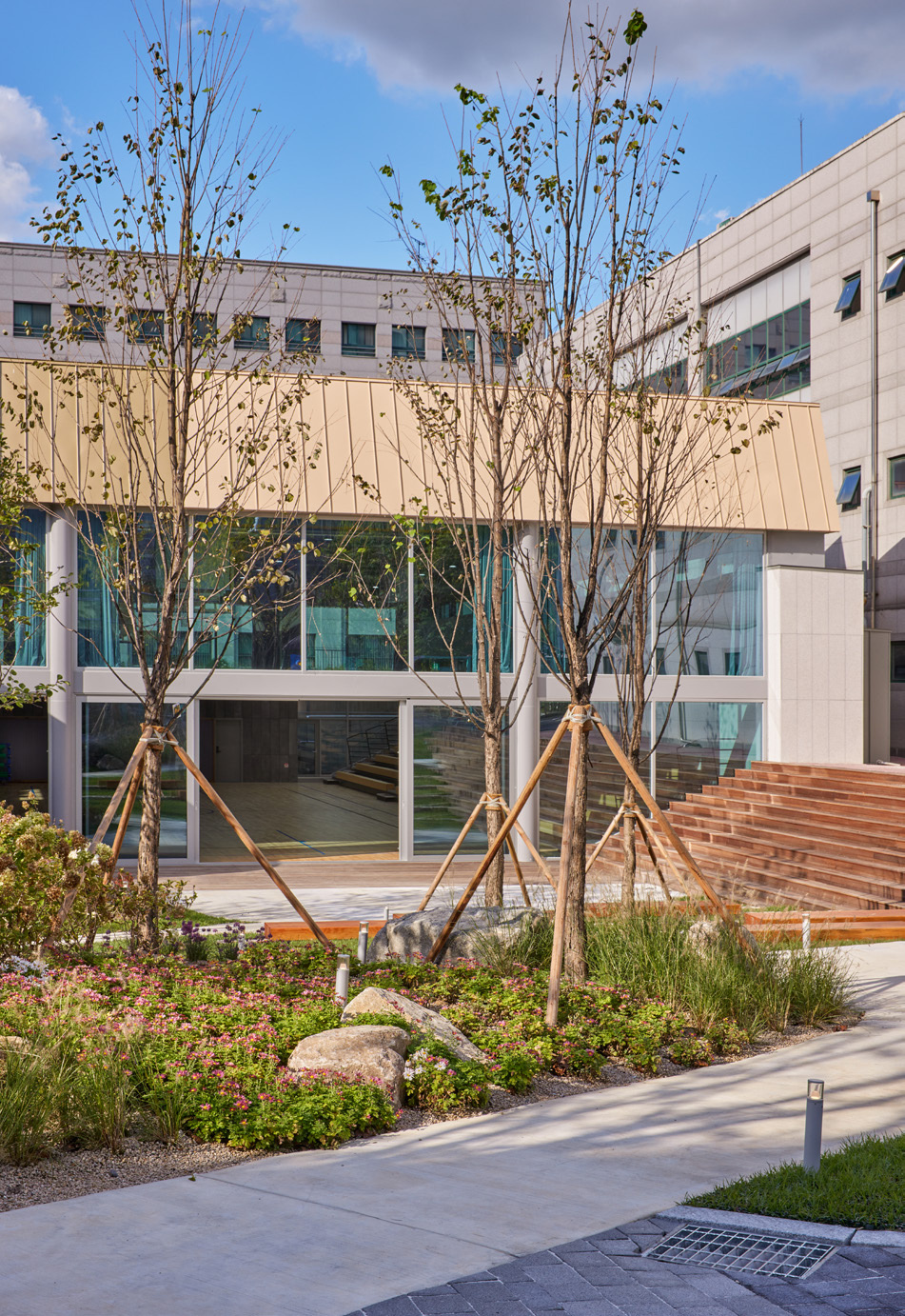cheongwon elementary school gym — 그라운드아키텍츠