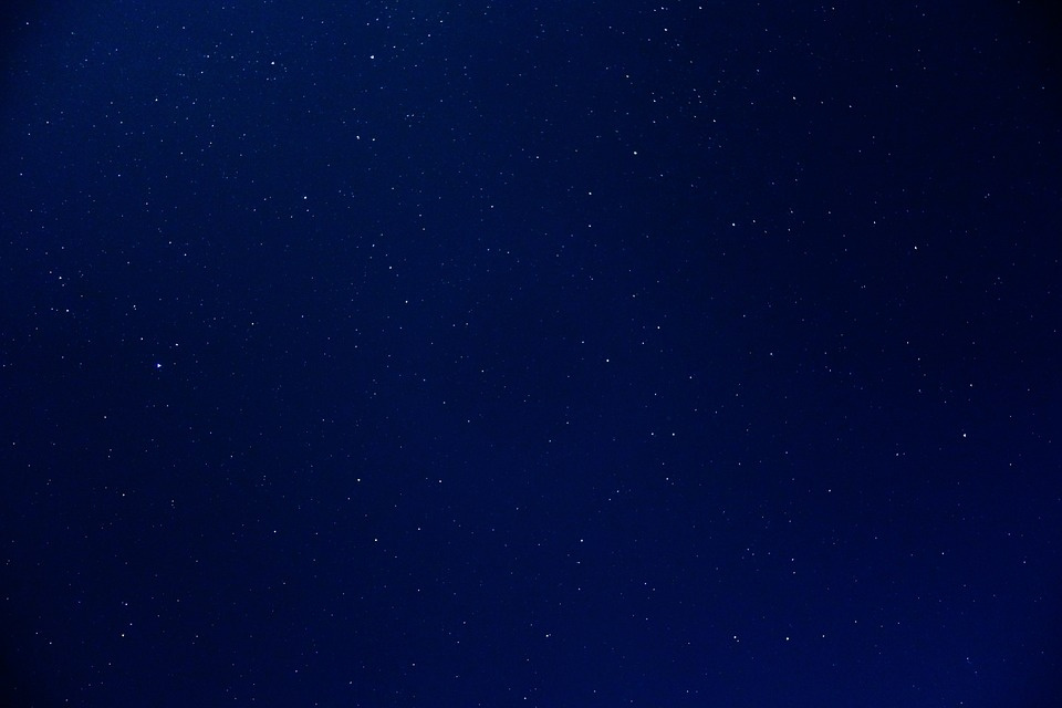 contact information — Madison Greenstone