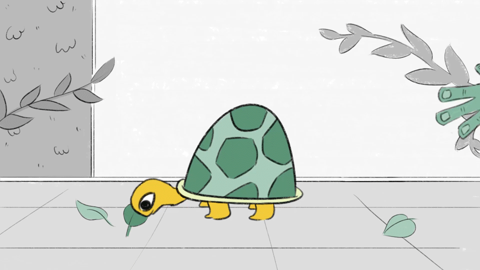 Slow Turtle Gif
