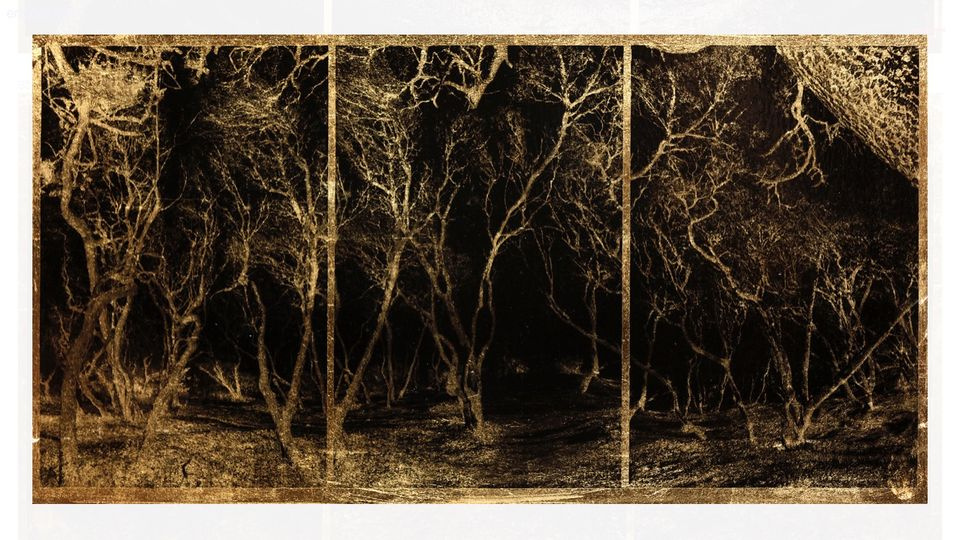 Demain dès l'Aube - Salon de la Mort III — vingtquatreb