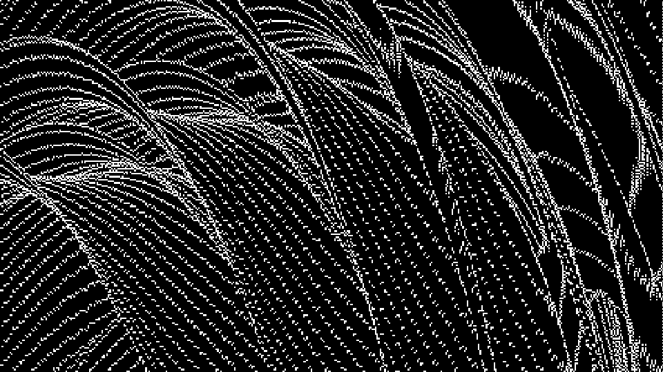 Random Gifs — The Portfolio of Ross McCampbell