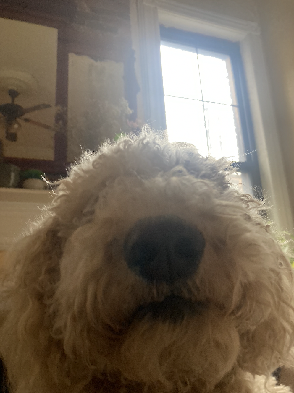 productstrategy — kernst